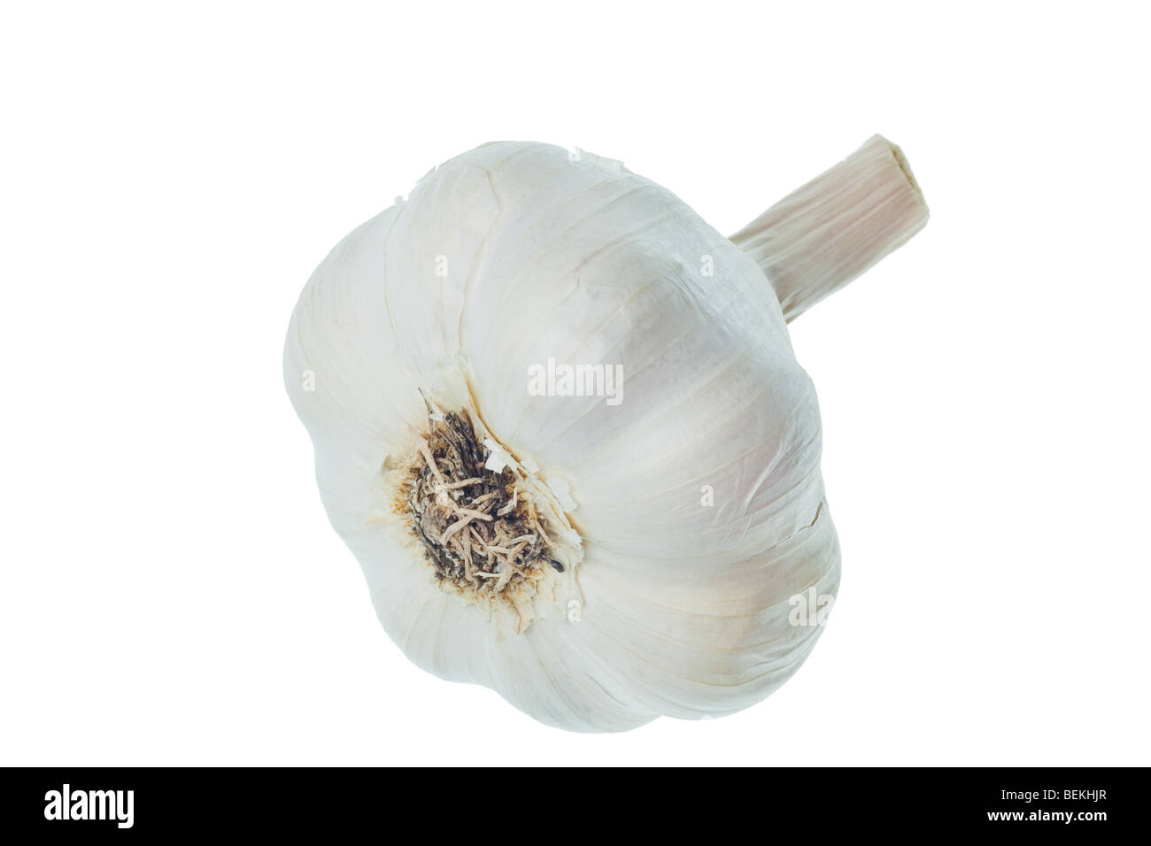 garlic isolated on a pure white background Stock Photo - Alamy