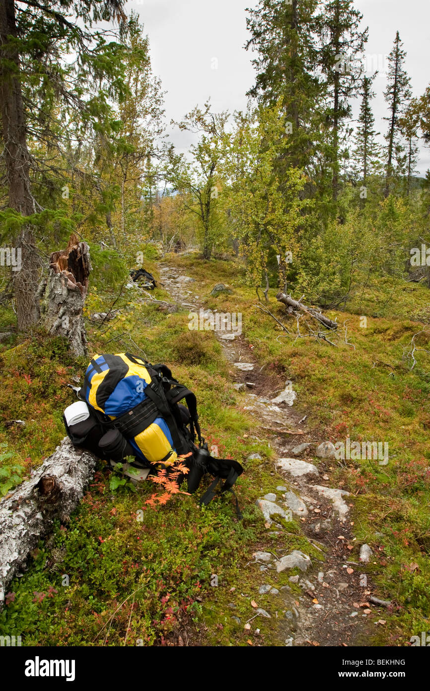 Sarek National Park Stock Photo - Alamy