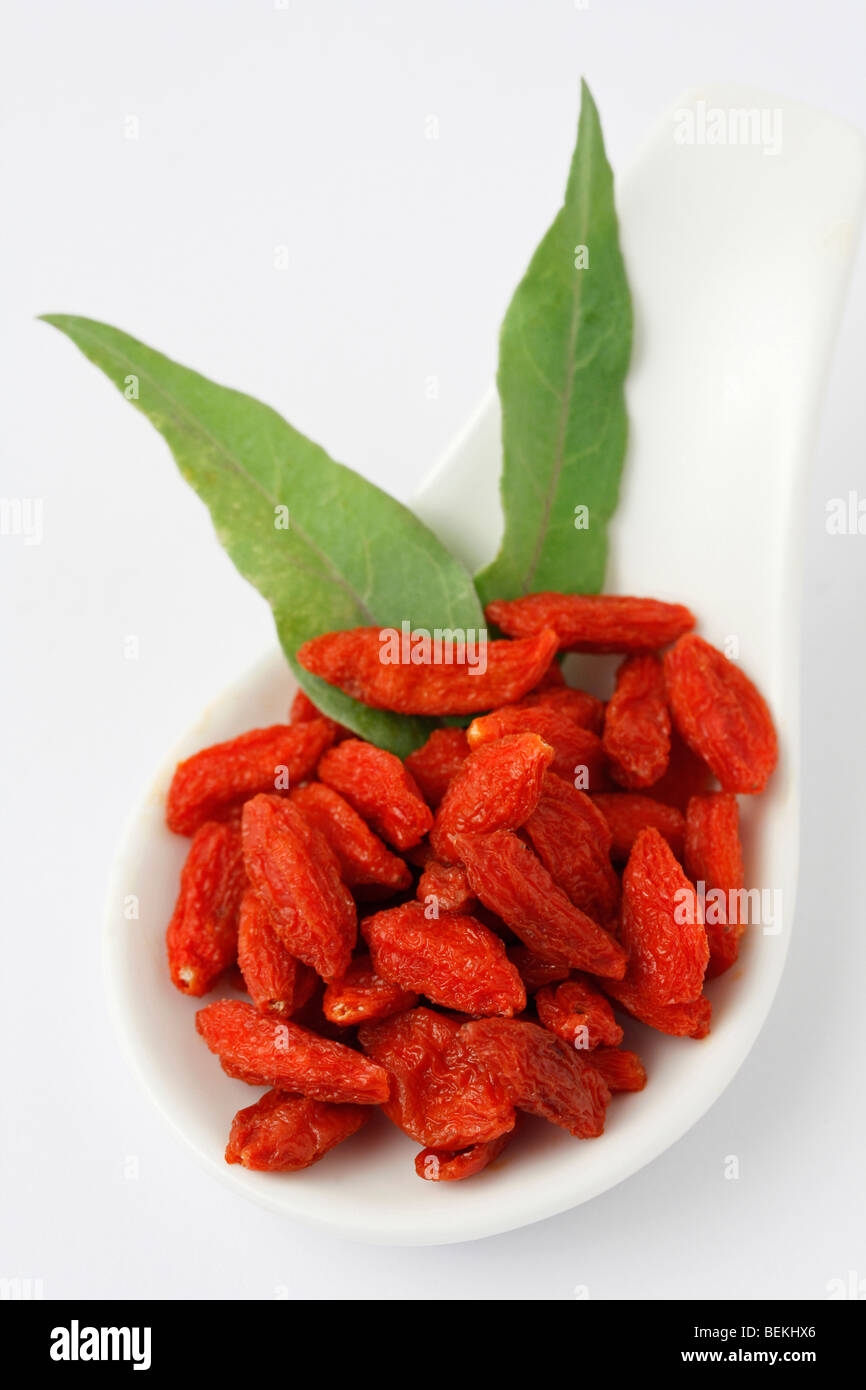 Goji dried berries Lycium barbarum Stock Photo - Alamy