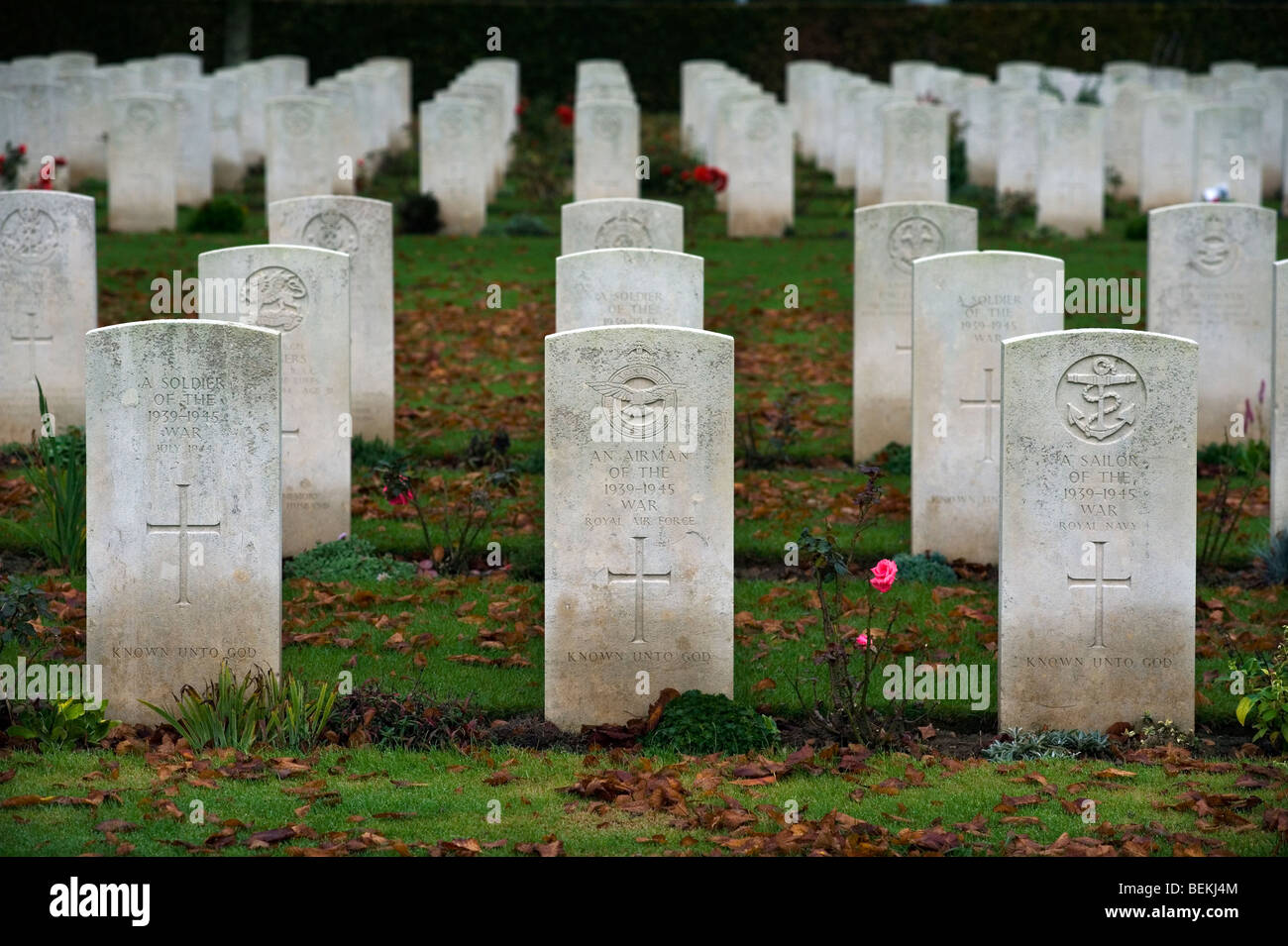Bayeux Commonwealth War Graves Commission Cemetery,Bayeux,Normandy,France Stock Photo - Alamy