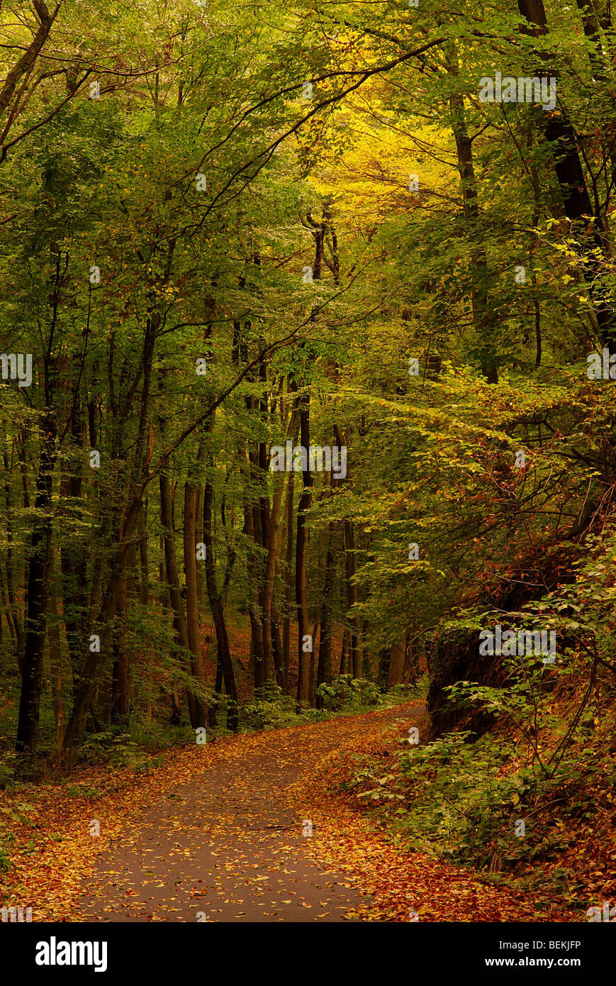 Veering hi-res stock photography and images - Alamy