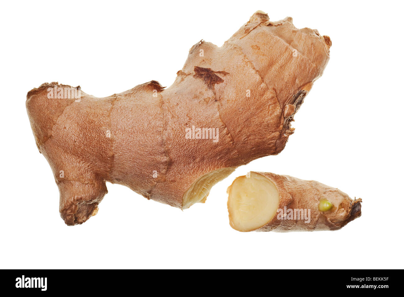 ginger root isolated on a pure white background Stock Photo - Alamy