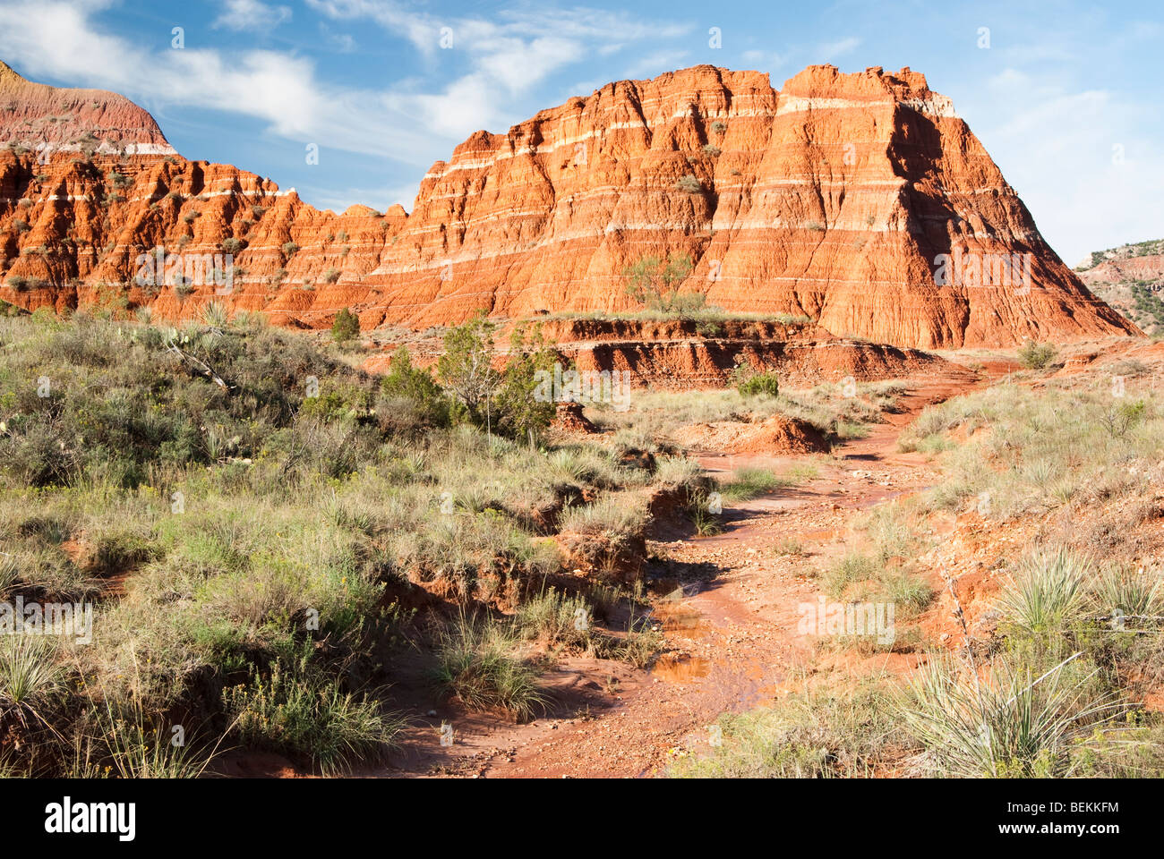 Sandstone formations in Palo Duro Canyon State Park in Texas Stock ...