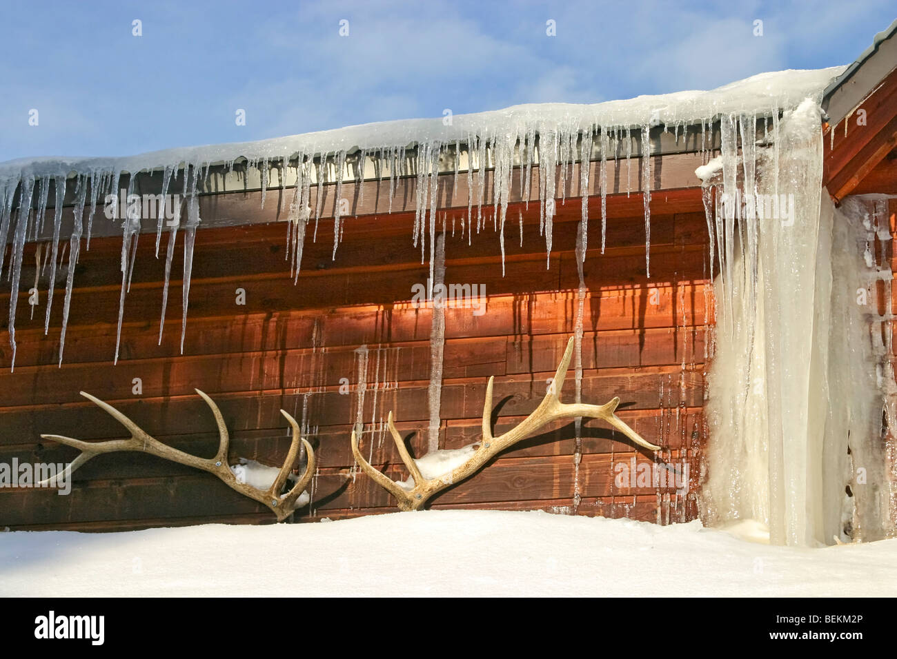 Caribou antlers on side of house with icicles dripping from roof near ...