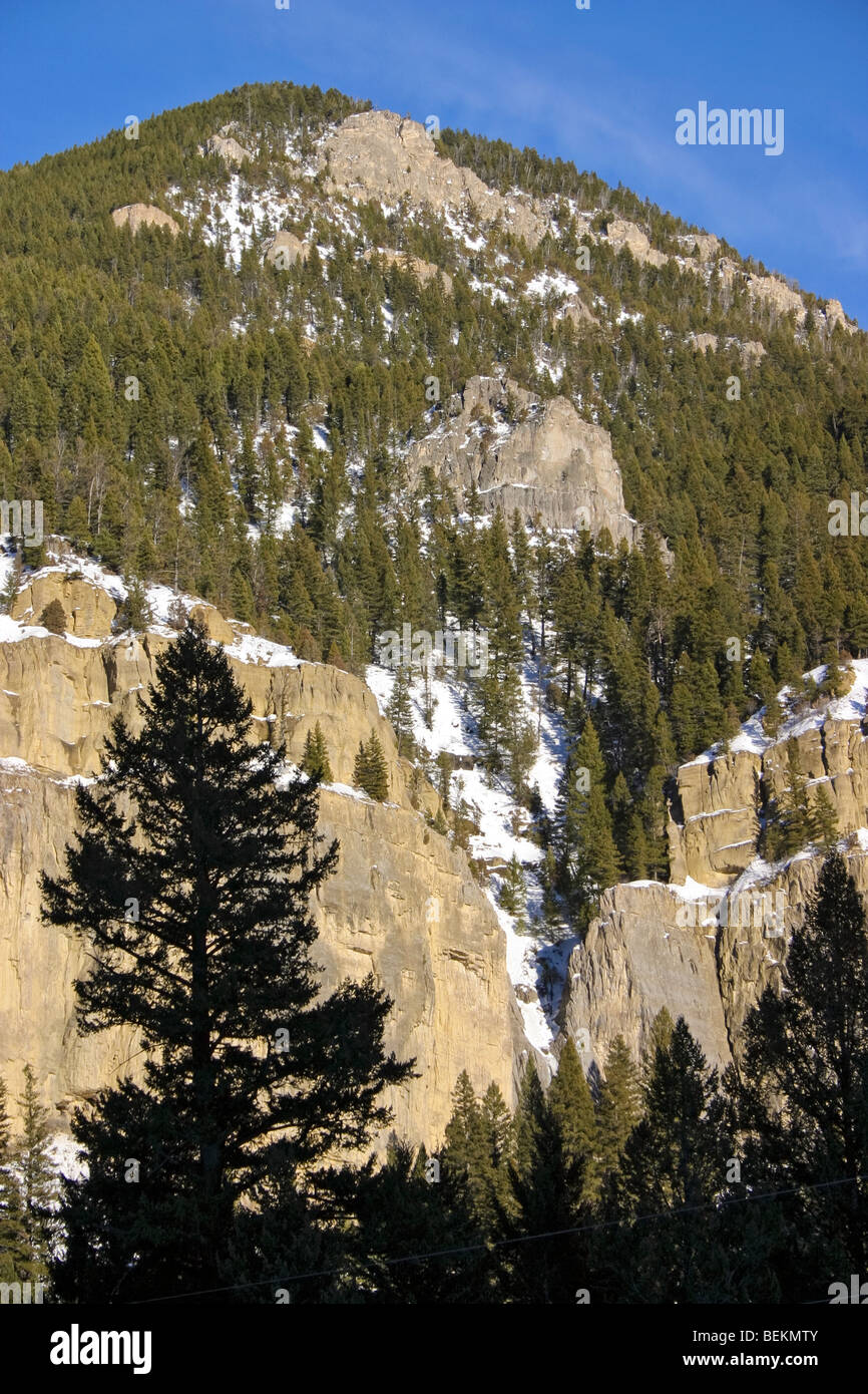 Snowy hillside outside West Yellowstone, Montana, in winter Stock Photo ...