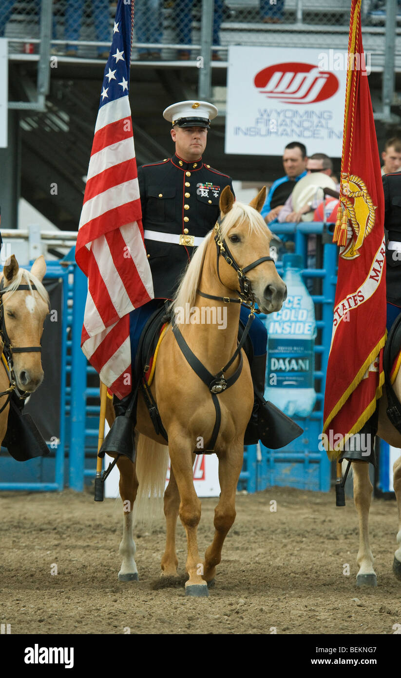 Cody Extreme bull Wyoming USA Marine Corps Horse Stock Photo - Alamy