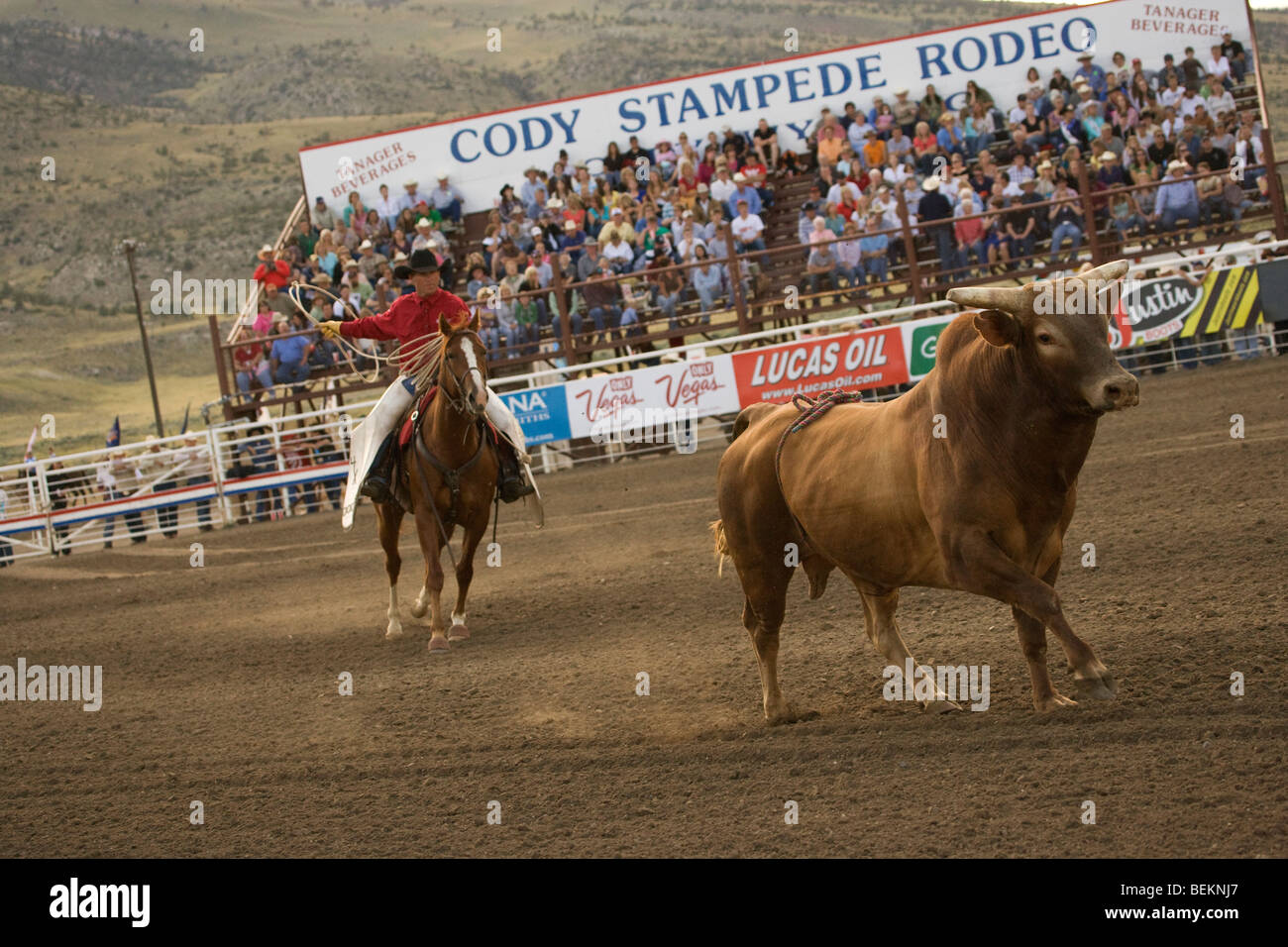 Bull riding usa hi-res stock photography and images - Alamy