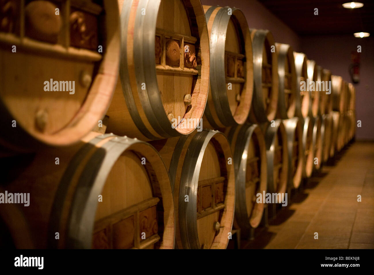 Costa Dorada Calcot onion Spain Calcotada Spanish Stock Photo - Alamy