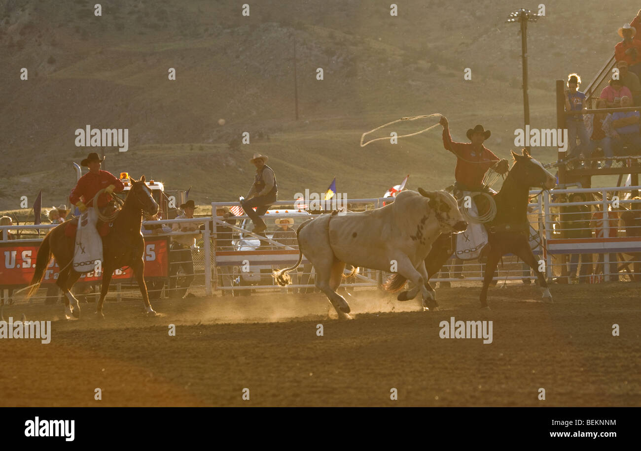 Wyoming horse riding holiday hi-res stock photography and images - Alamy