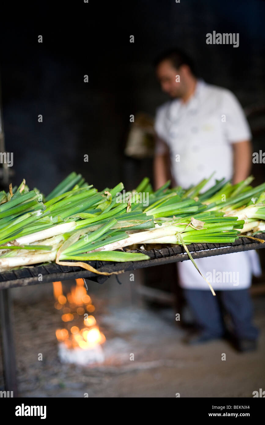 Calcot onion farming Spain Stock Photo - Alamy