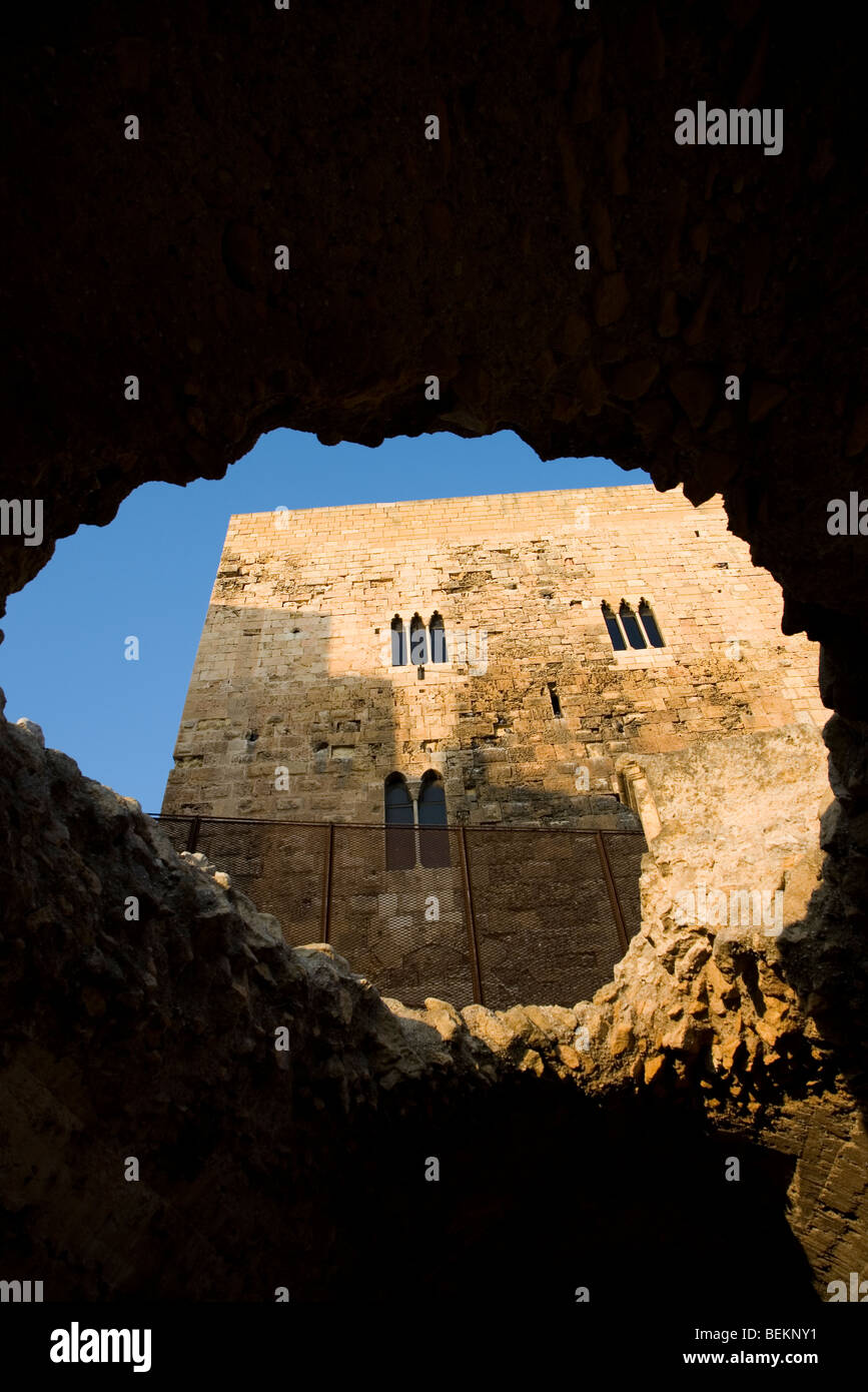 Costa Dorada Calcot onion Spain Calcotada Spanish Stock Photo - Alamy