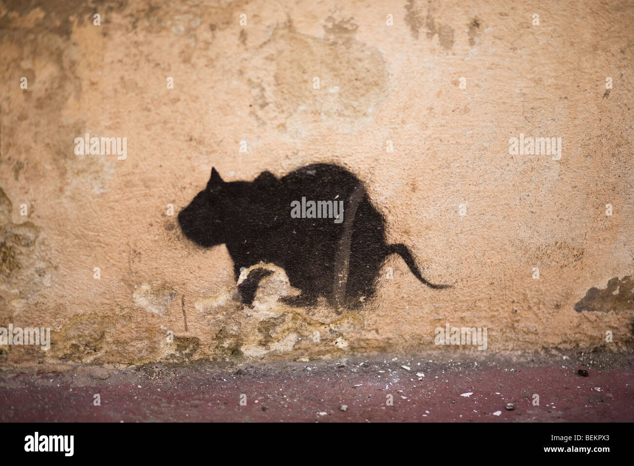 Rat graffiti Montpellier Hérault France Stock Photo - Alamy