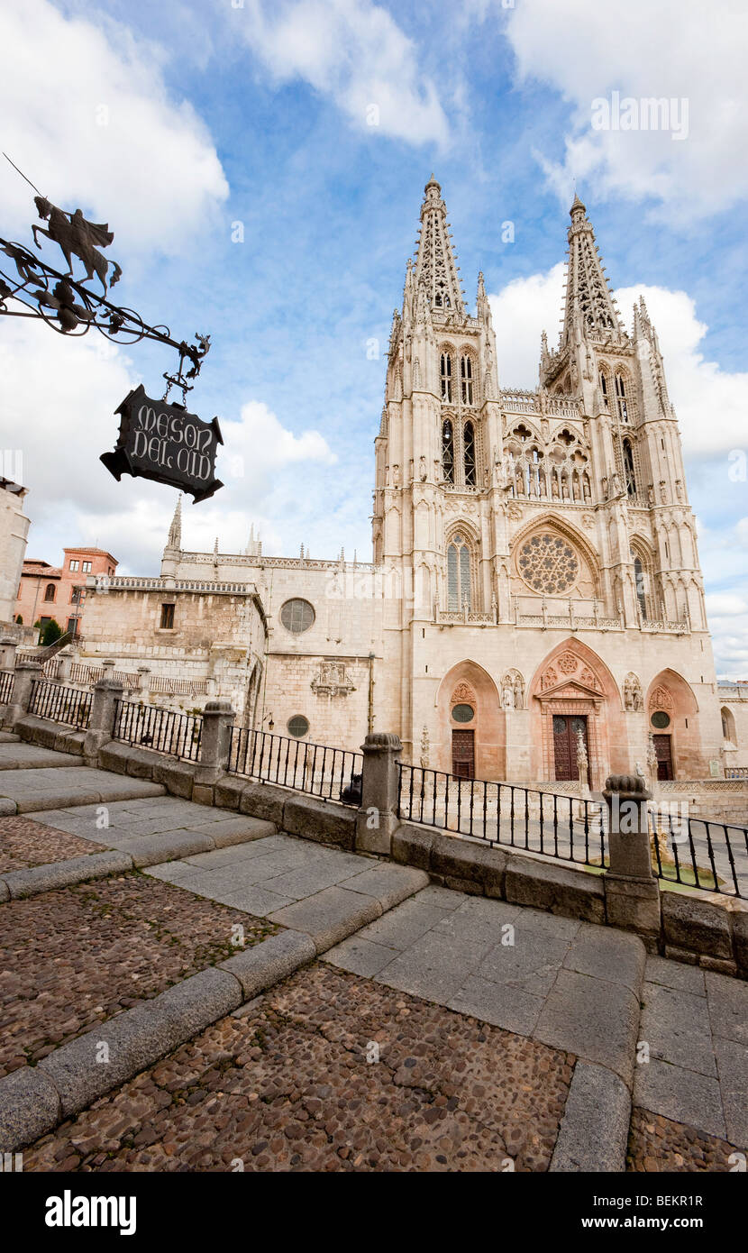 Rose of castille hi-res stock photography and images - Alamy