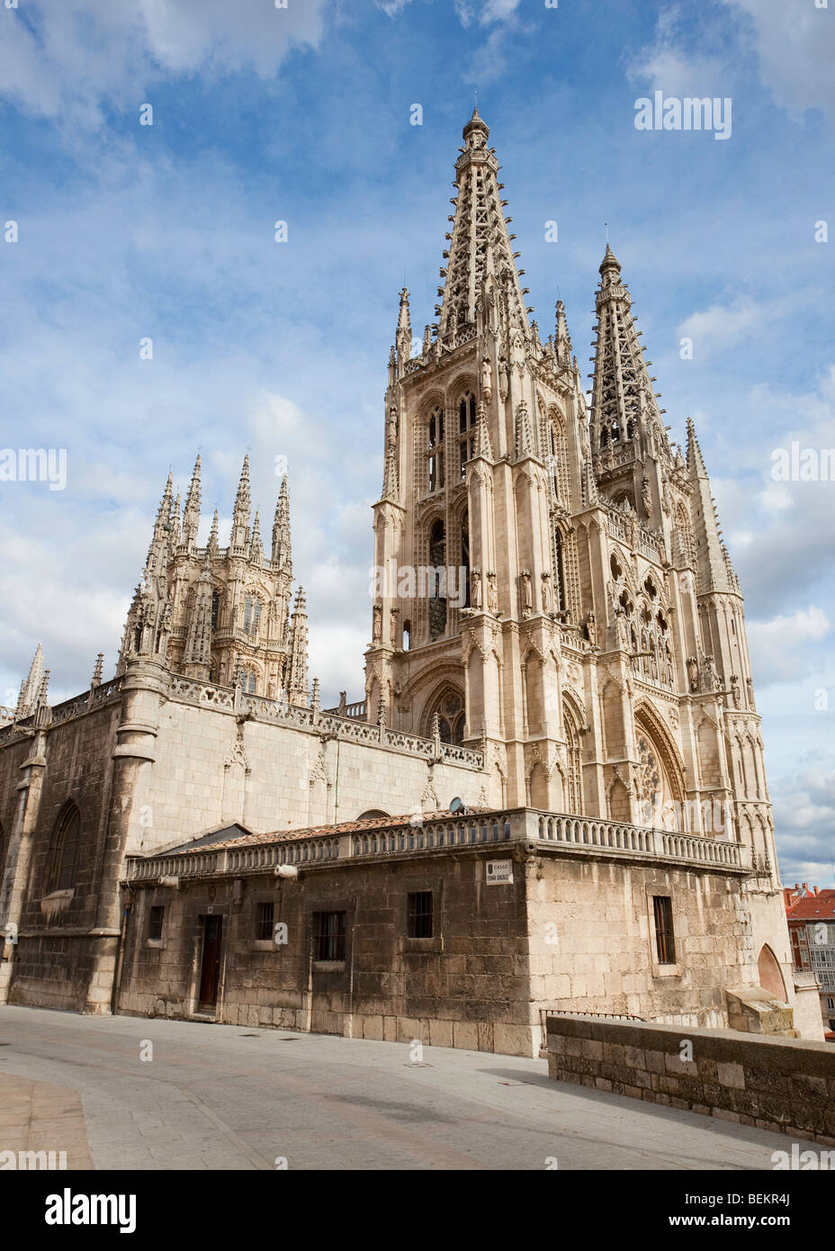 Rose of castille hi-res stock photography and images - Alamy