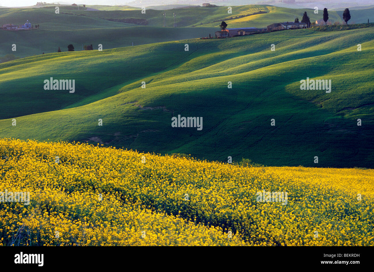 Farm and fields at Tuscany, Italy Stock Photo - Alamy