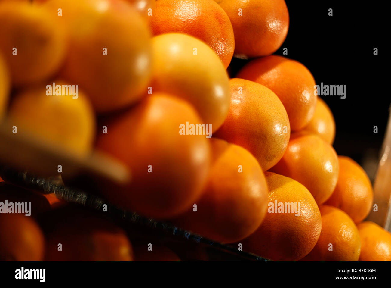 Morocco show hi-res stock photography and images - Alamy