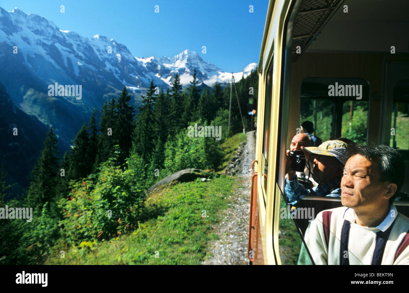 Mountain train in Bernese Oberland, Switzerland Stock Photo - Alamy