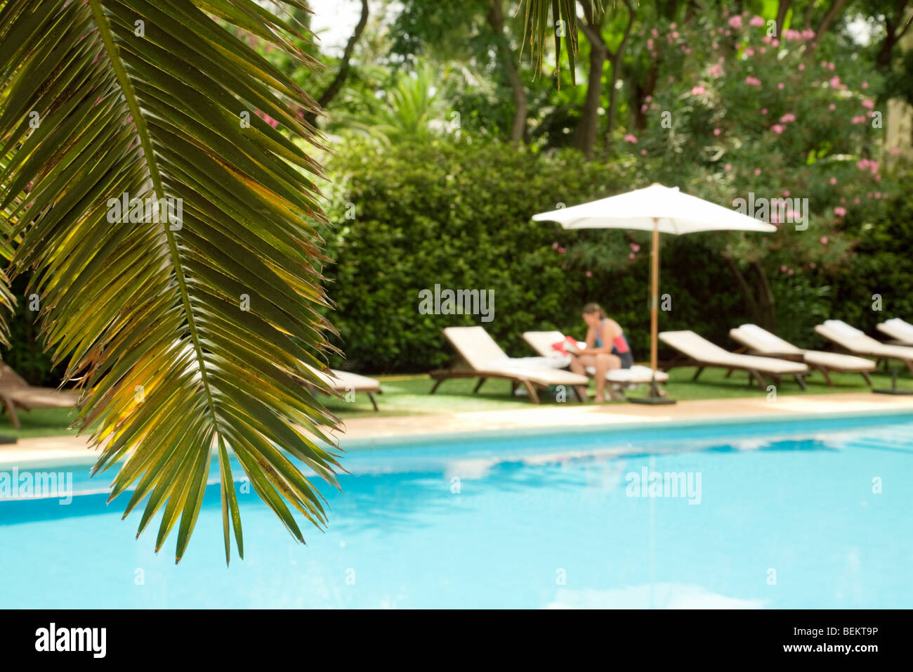 Hotel tourism palm trees hi-res stock photography and images - Alamy