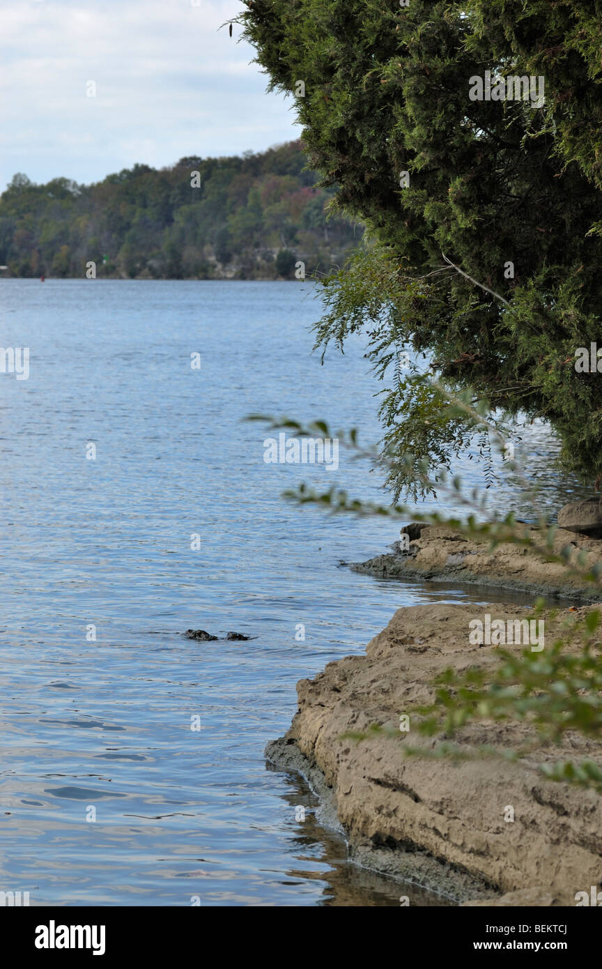 Old Hickory Lake near Nashville, Tennessee, USA Stock Photo - Alamy