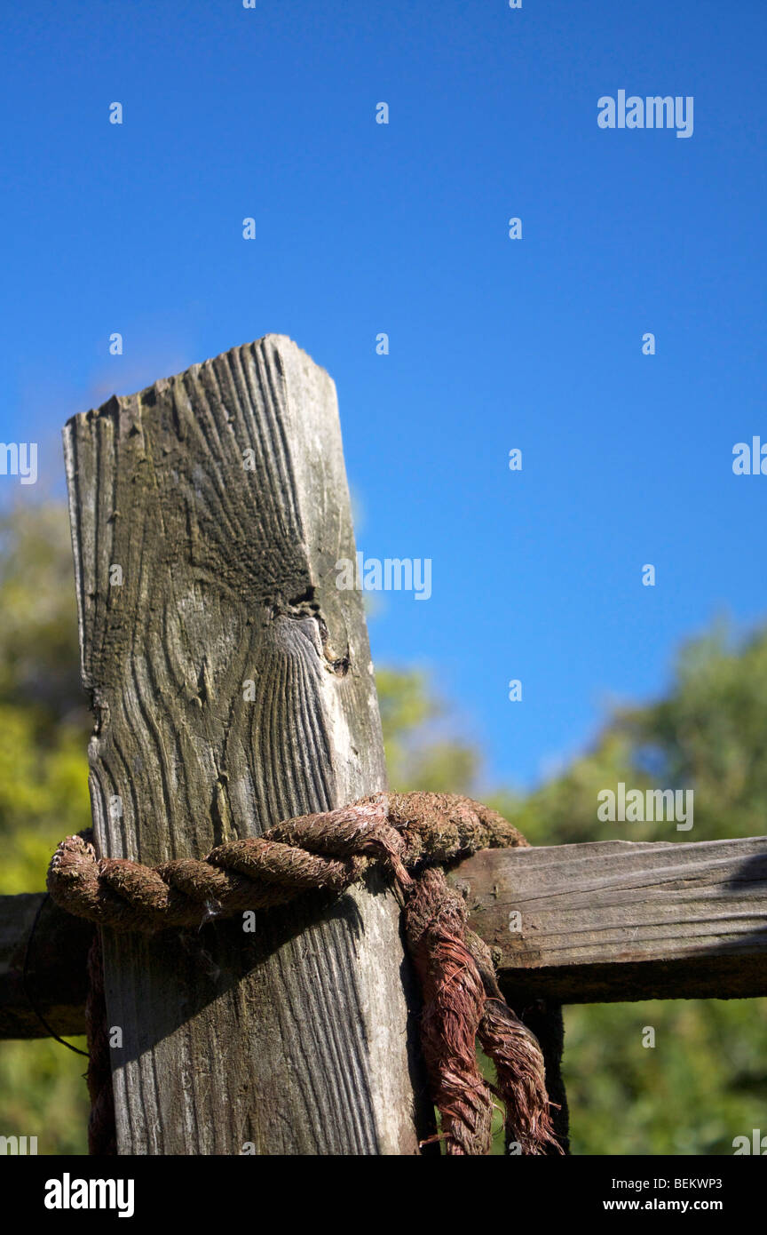 Tied To Fence High Resolution Stock Photography and Images - Alamy