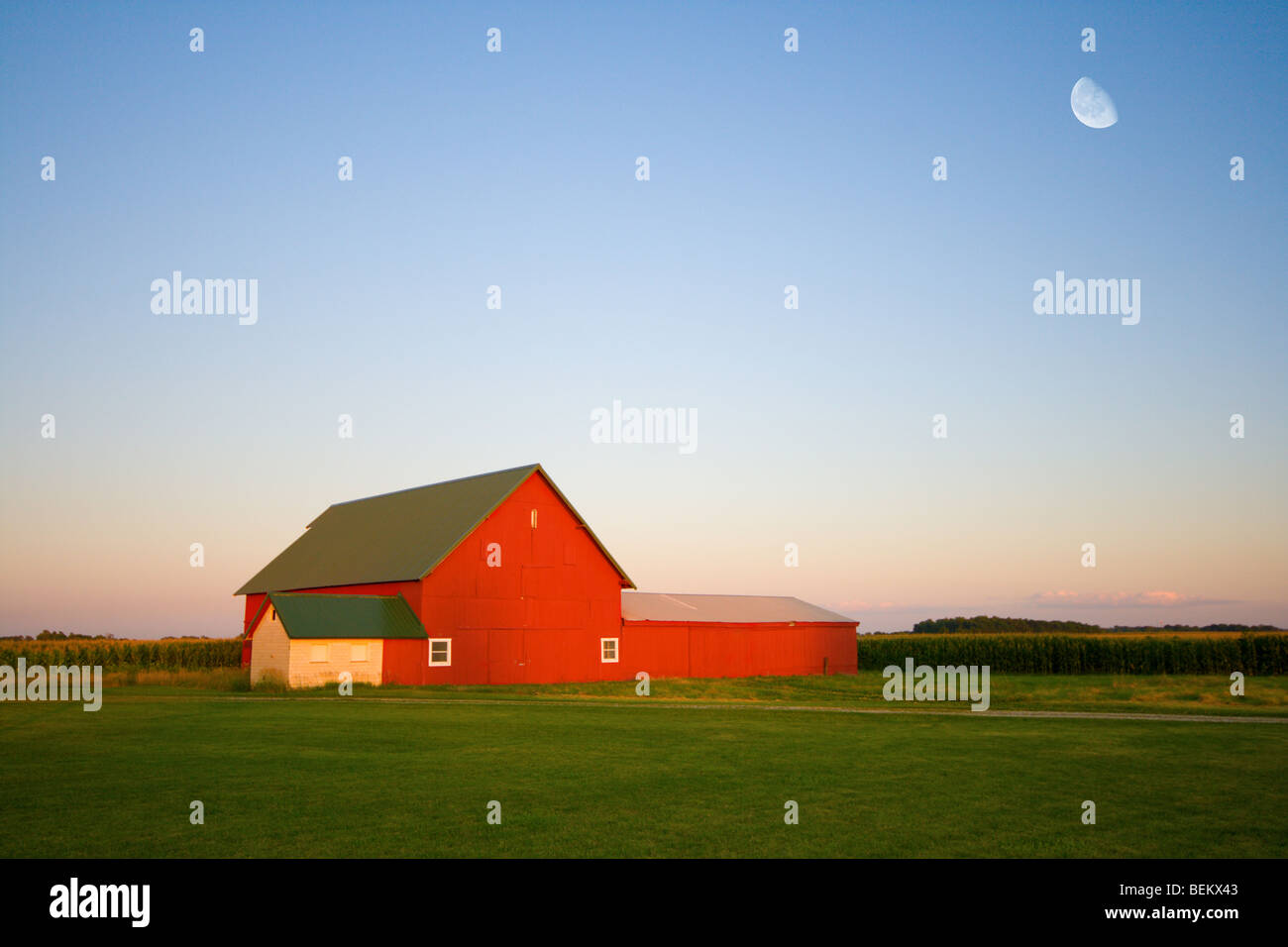 Red barn with corn hi-res stock photography and images - Alamy