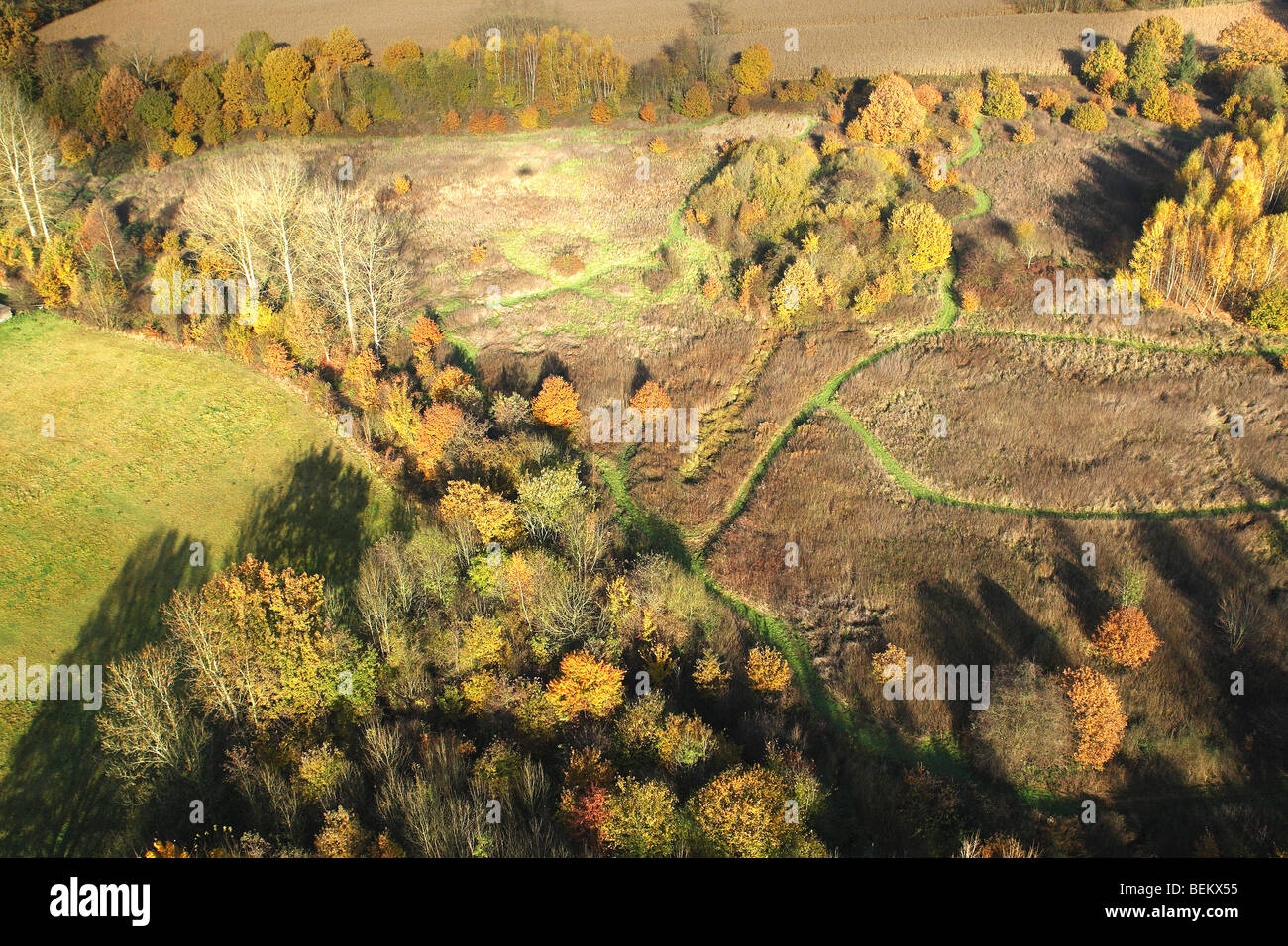 Fields, grasslands and forested area along river Demer from the air in ...