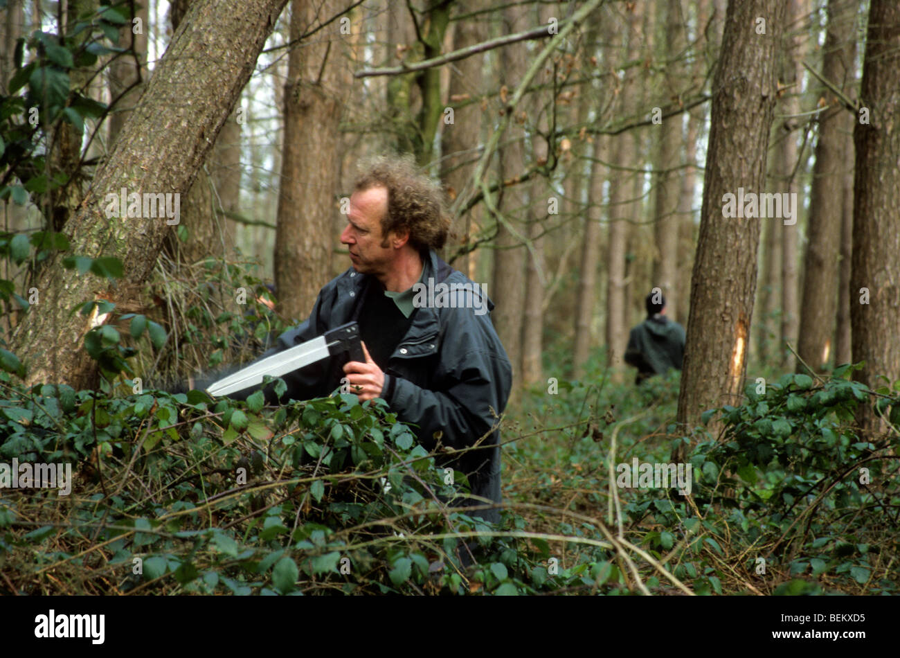 Forester marking trees hi-res stock photography and images - Alamy