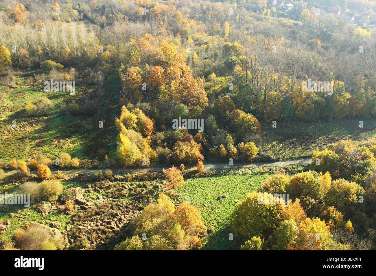 Grasslands and forested area along river Demer from the air in autumn ...