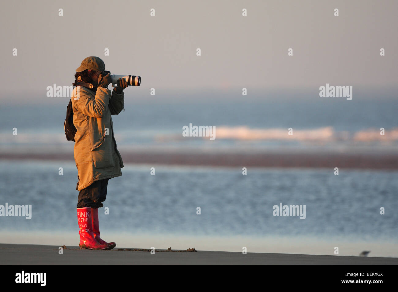 Photographer in action hi-res stock photography and images - Alamy