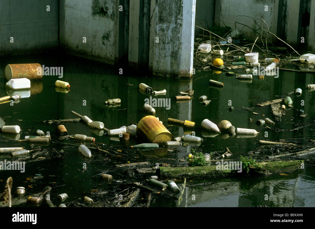Environmental pollution in river by floating plastic bottles and cans ...