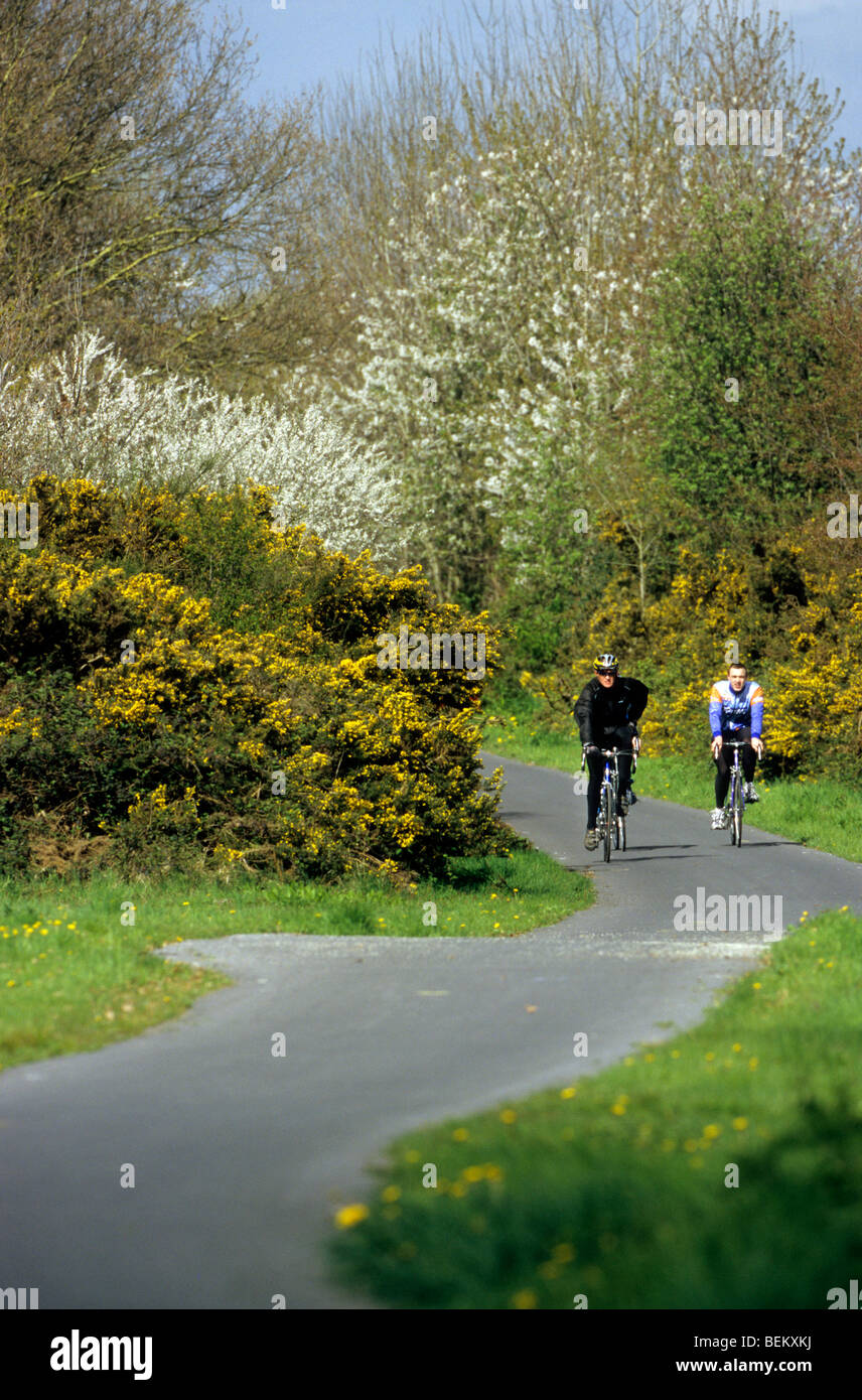 Cyclists along the Gentse Vaart, Belgium Stock Photo - Alamy