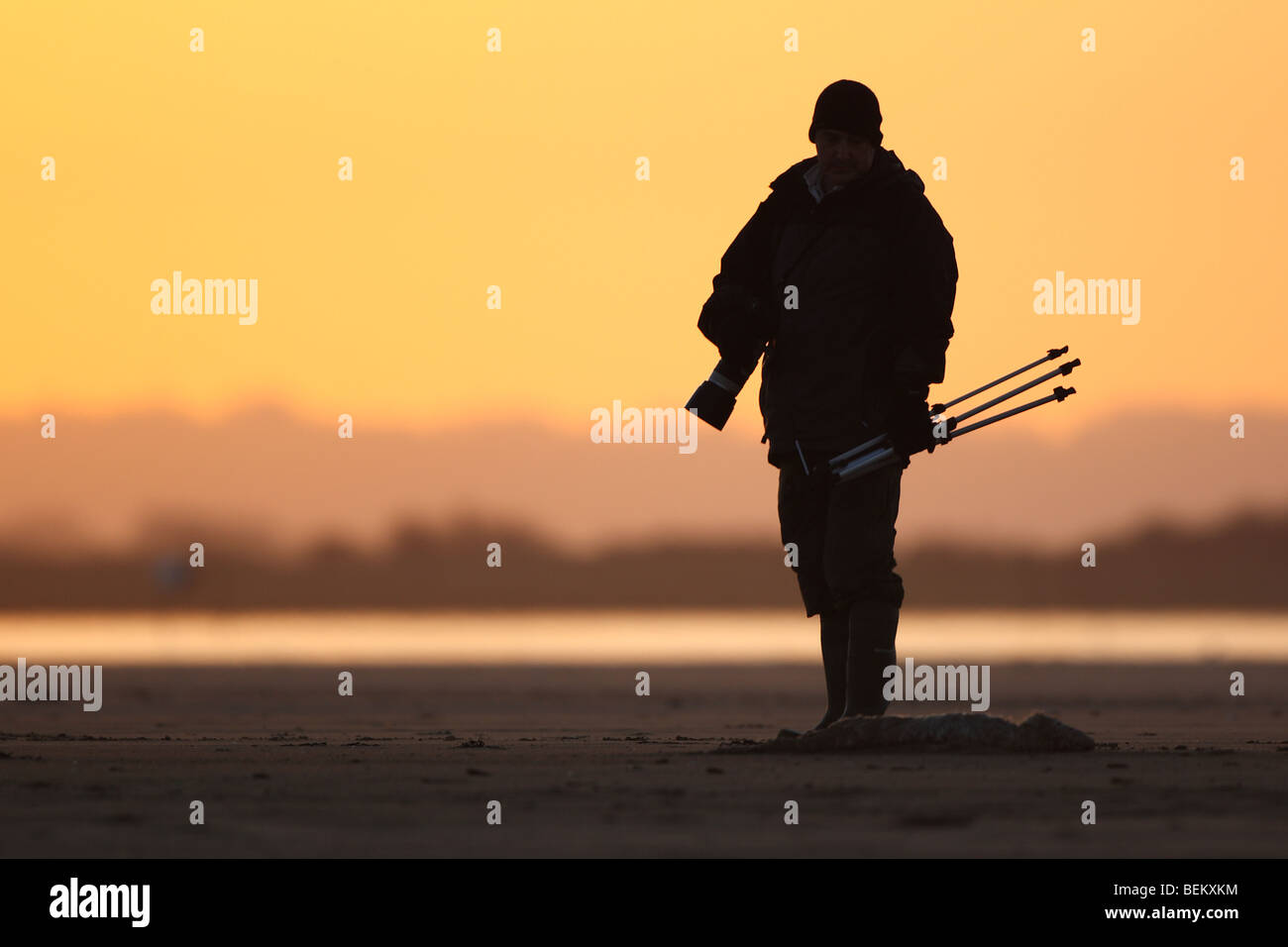 Nature photographer in action on beach Stock Photo - Alamy