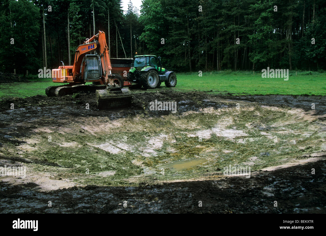 Bulldozer digging a pond in nature reserve, Belgium Stock Photo - Alamy