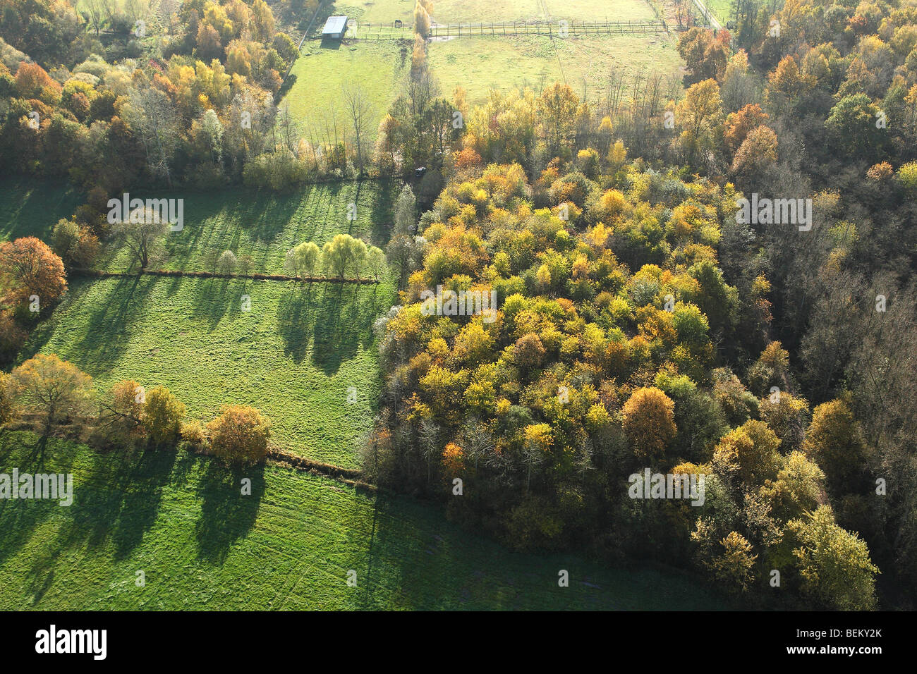 Oak Grasslands Stock Photos & Oak Grasslands Stock Images - Alamy
