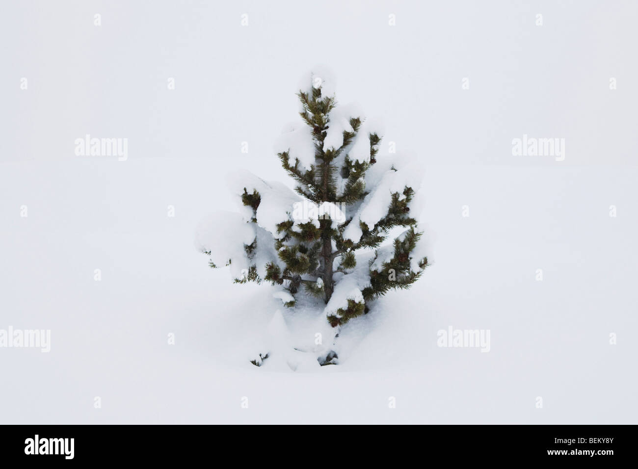 Red mountain pass hi-res stock photography and images - Alamy