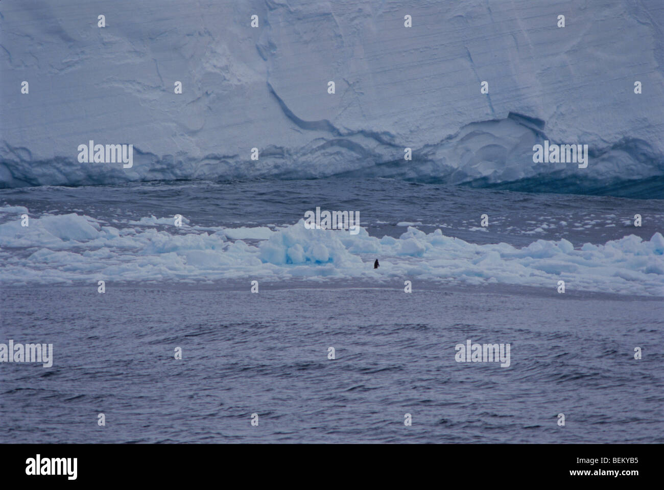 Individual ice pack hi-res stock photography and images - Alamy