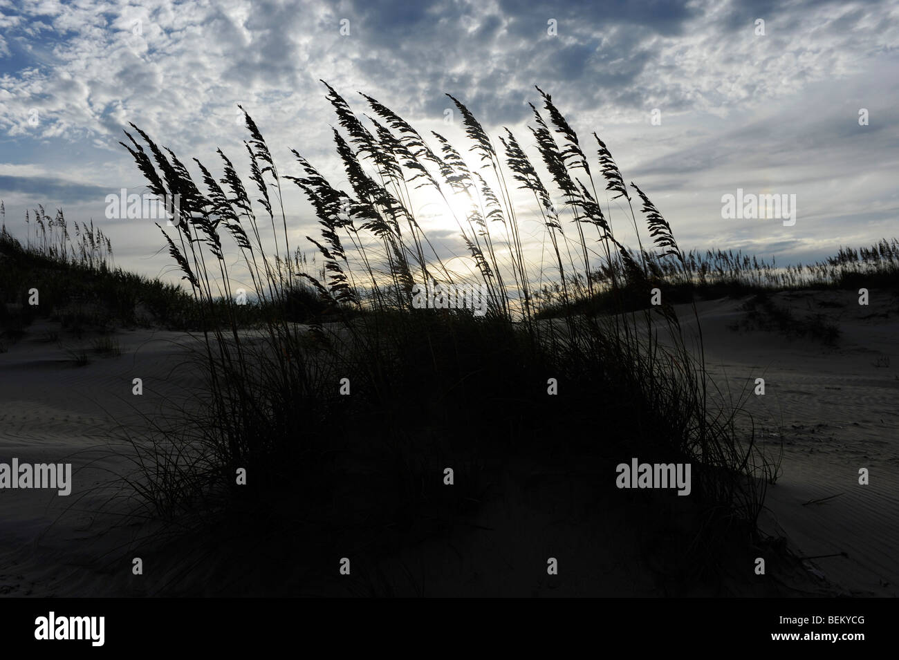 Sunset along Carova Beach in North Carolina NC Stock Photo - Alamy