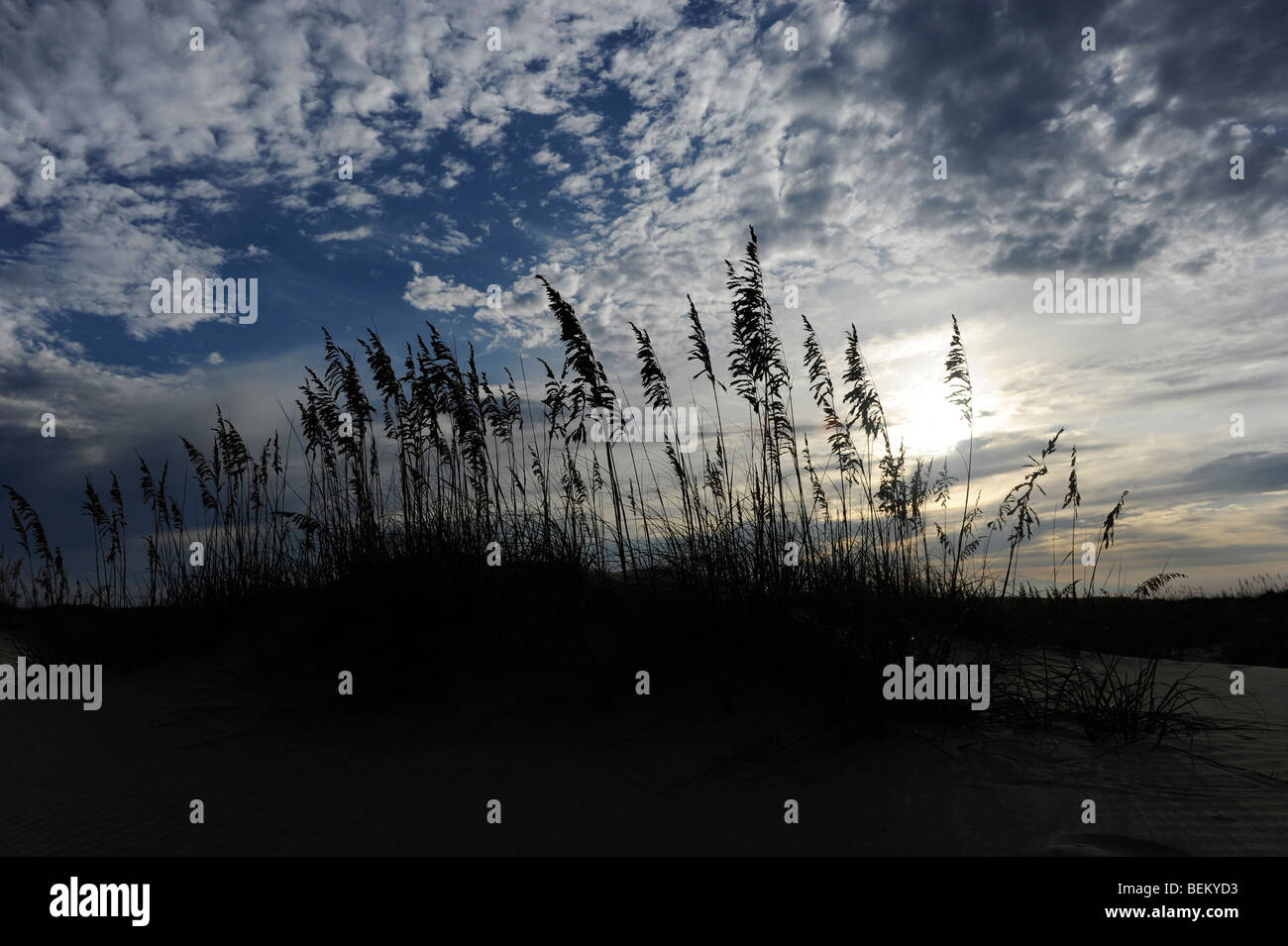 Sunset along the Carova Beach in North Carolina Stock Photo - Alamy