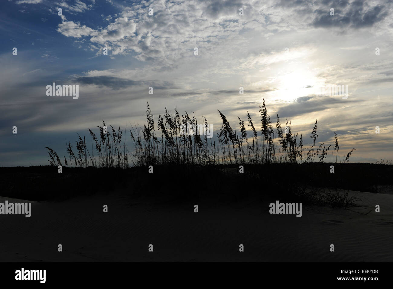 Sunset along the Carova Beach in North Carolina Stock Photo - Alamy
