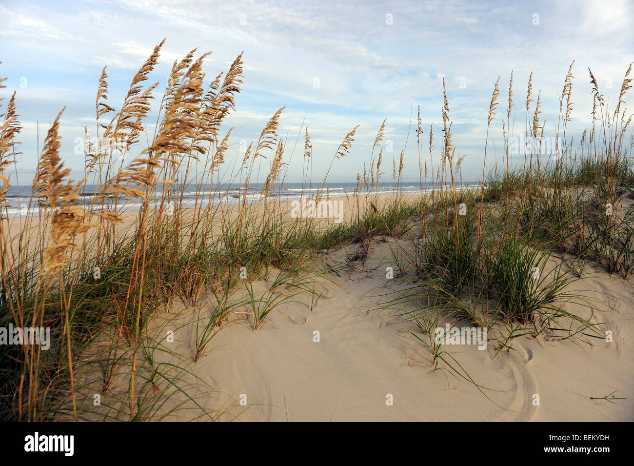 Sunset along the Carova Beach in North Carolina Stock Photo - Alamy