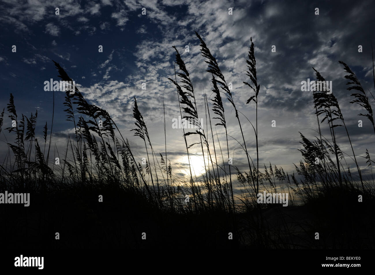 Sunset along the Carova Beach in North Carolina Stock Photo - Alamy