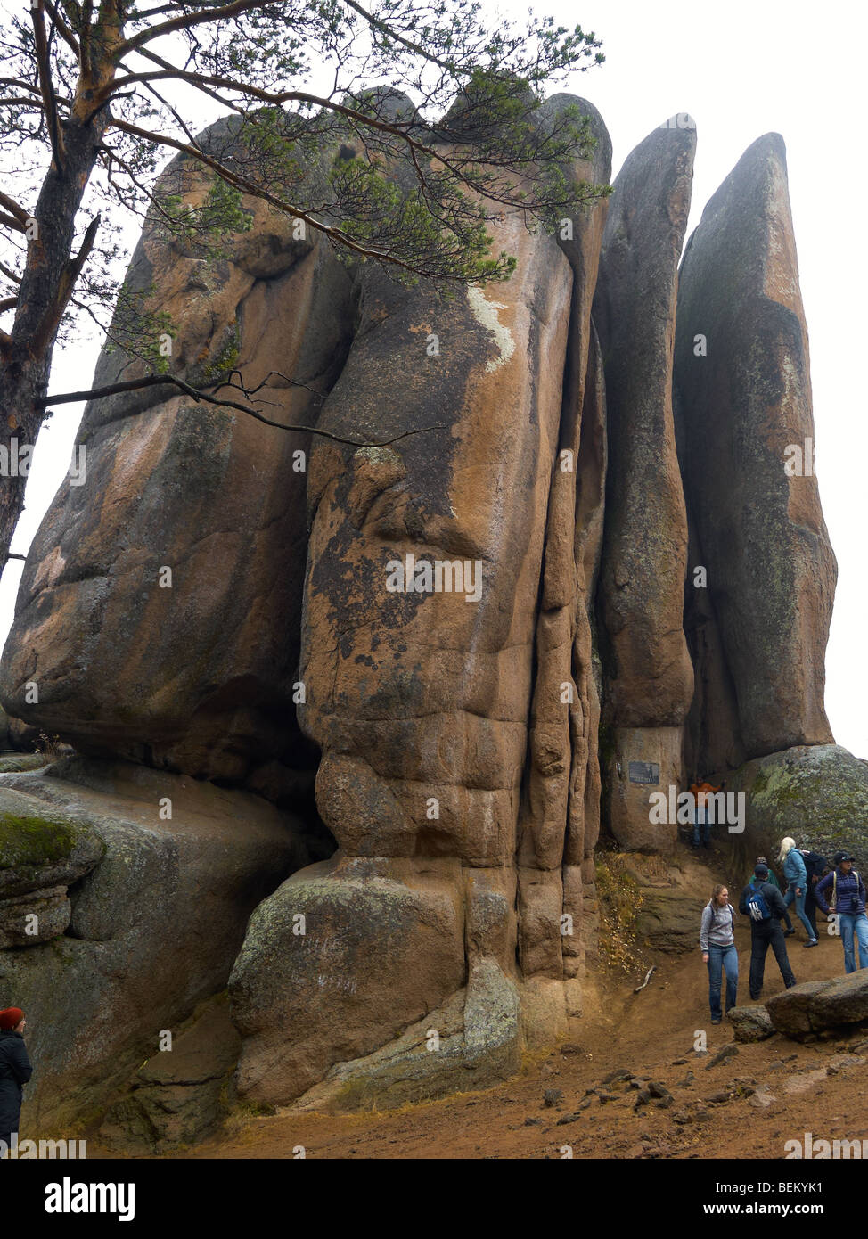 National park "Stolby", Russia, a rock "the Feathers Stock Photo - Alamy