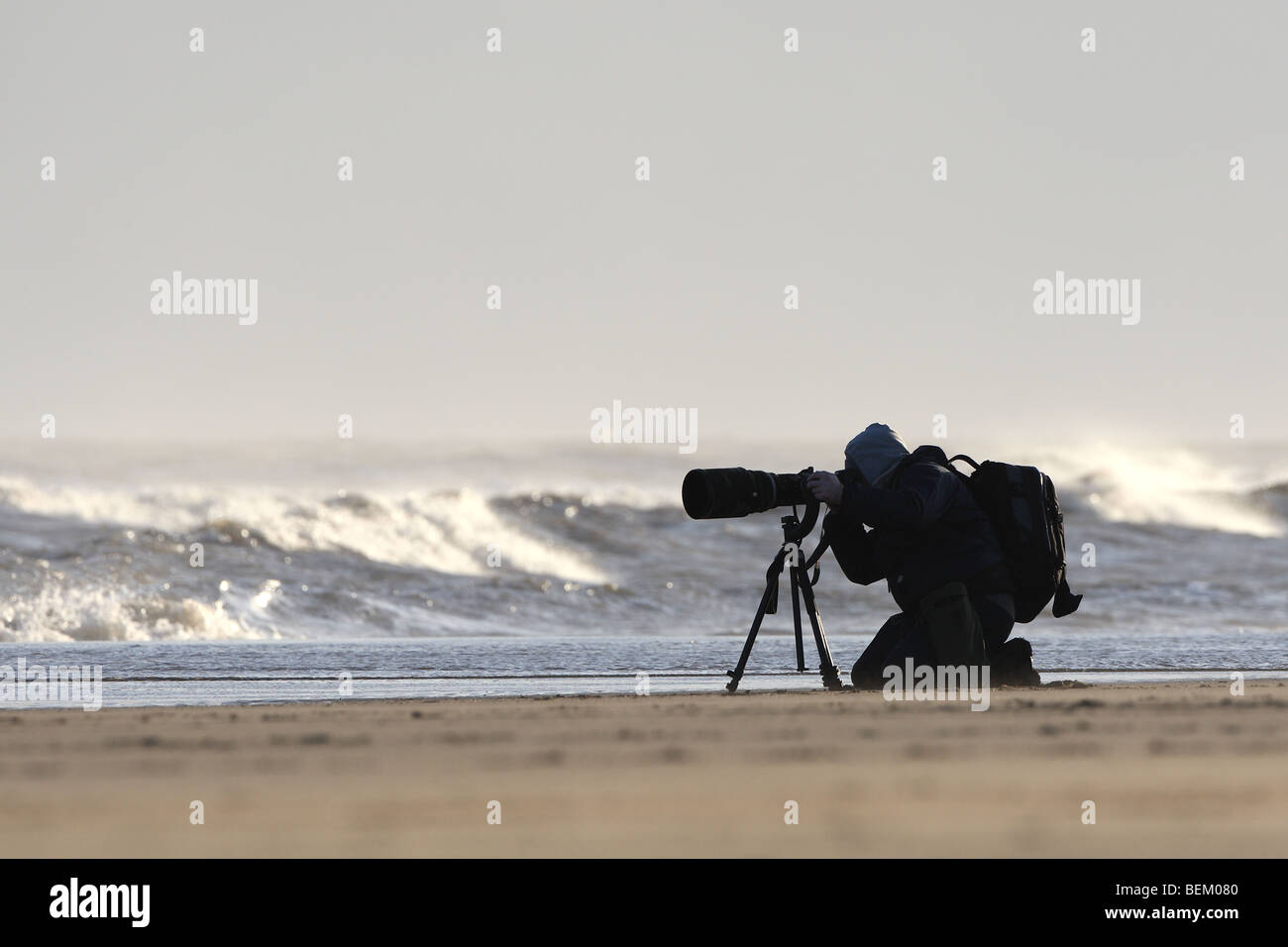 Nature photographer in action on beach Stock Photo - Alamy