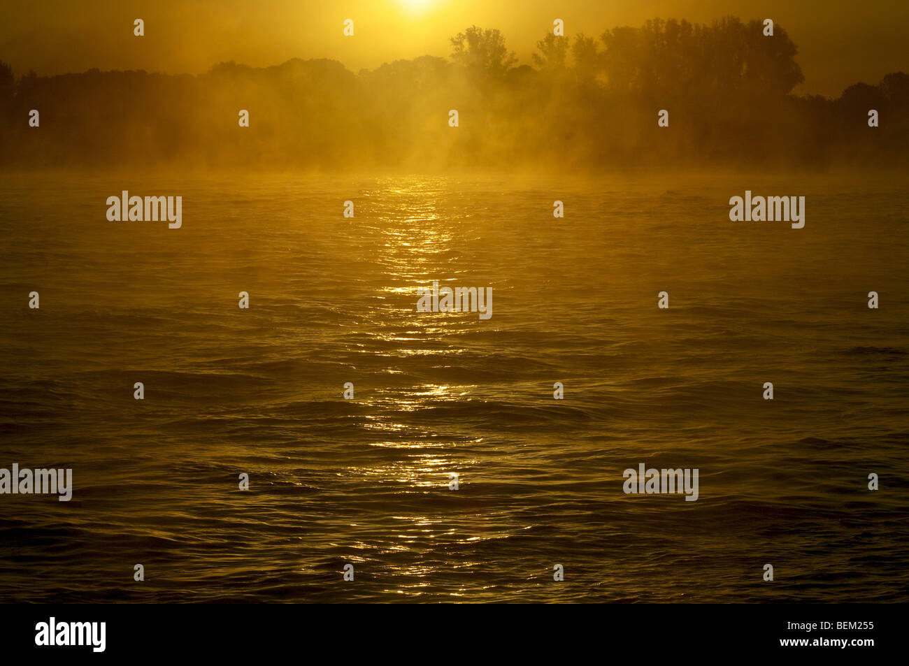 Mist rising from River Waal (Rhine) during an autumn sunrise at Varik ...
