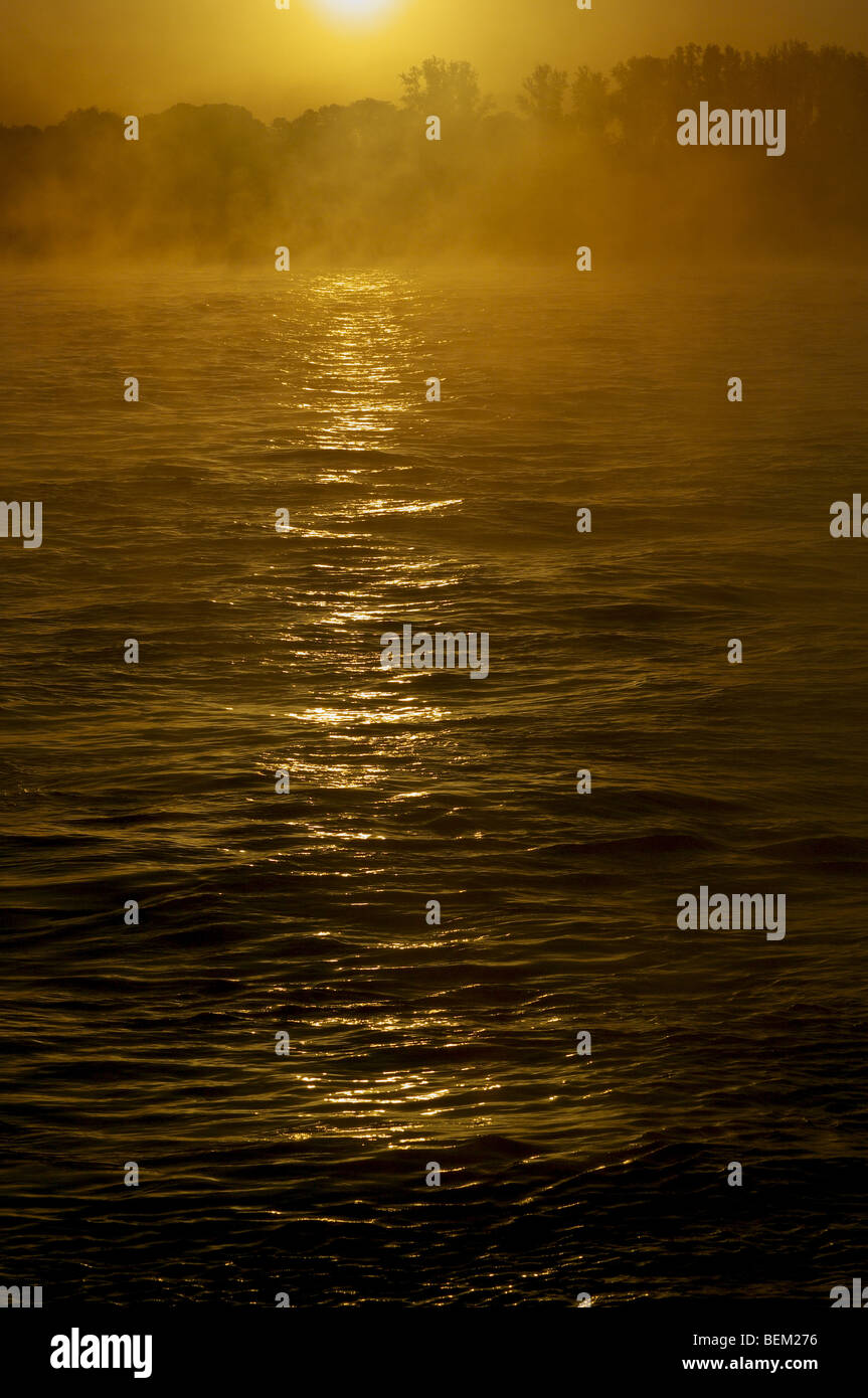 Mist rising from River Waal (Rhine) during autumn sunrise at Varik, The ...