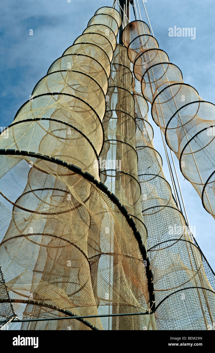 Fyke nets hanging to dry in the wind, Netherlands Stock Photo - Alamy