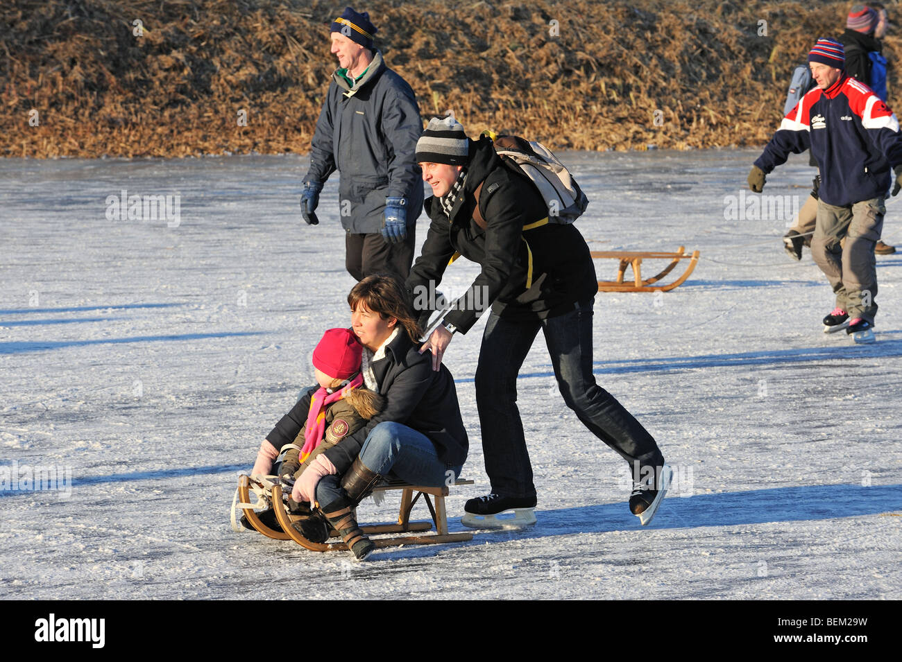 Mother and son on sledge pushed by father and ice skaters skating on ...