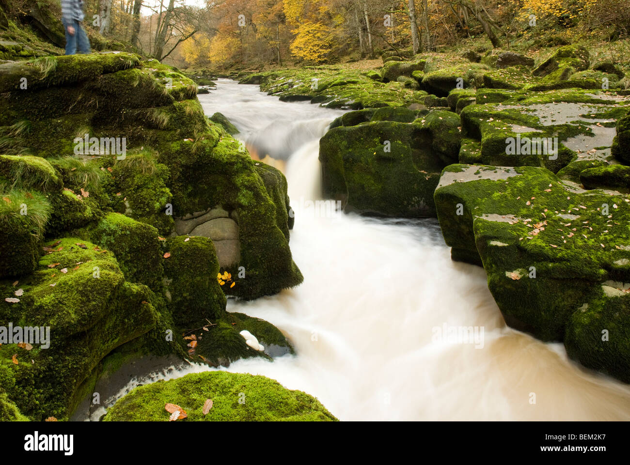 The Strid, a very dangerous section of the River Wharfe, Yorkshire ...