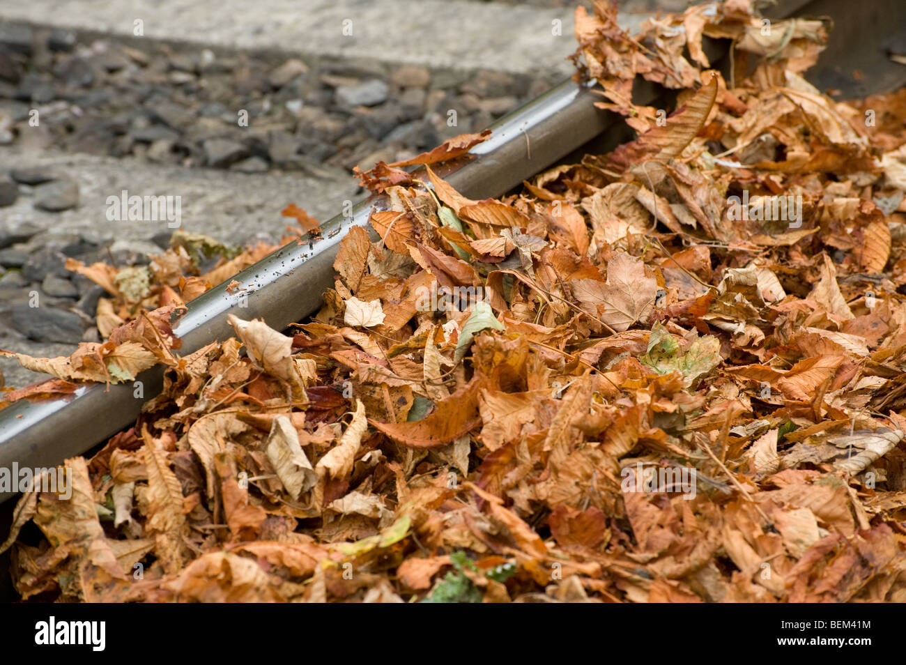 Leaves on rail track hi-res stock photography and images - Alamy