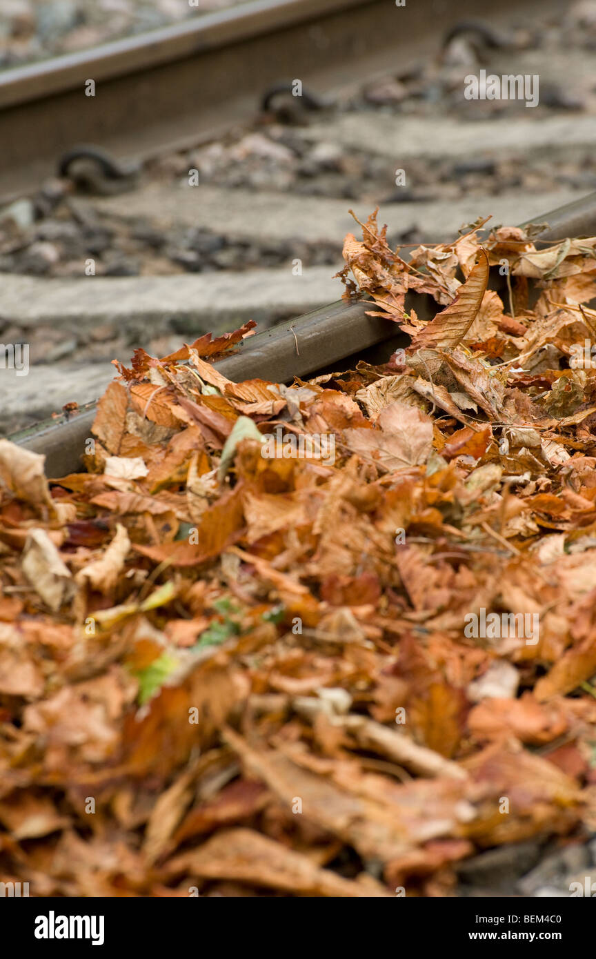 Leaves on rail track hi-res stock photography and images - Alamy